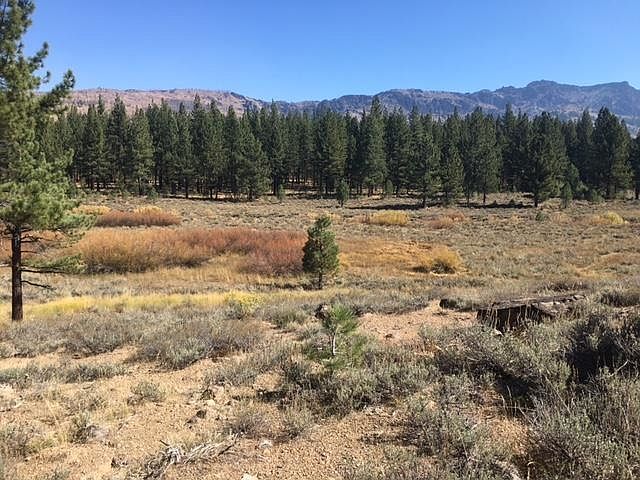 4769 Dixie Valley Rd, Chilcoot, CA 96105 | MLS #20231005 | Zillow