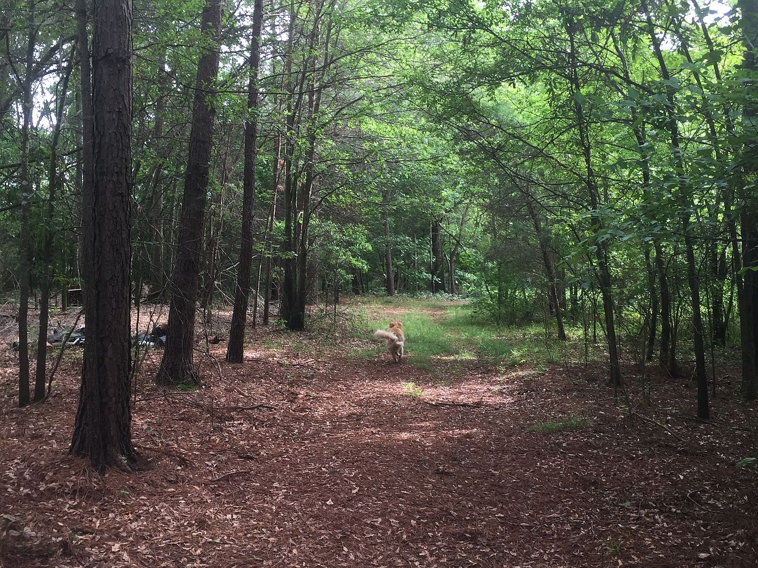 1806 Fork Shoals Rd, Greenville, SC 29605 | Zillow