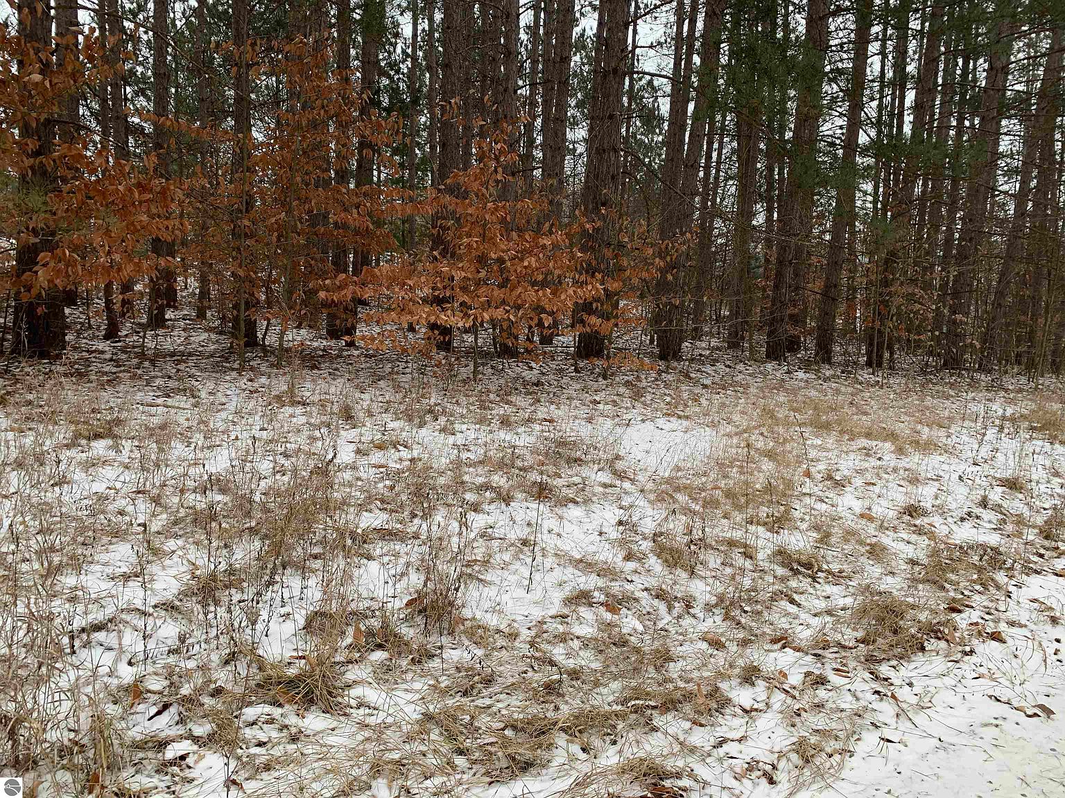 0 S 15 1/2 Rd, Boon, MI 49618 | Zillow