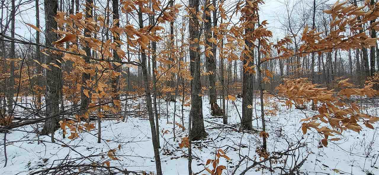 Tbd Bocook Rd, Mancelona, MI 49659 | MLS #472839 | Zillow