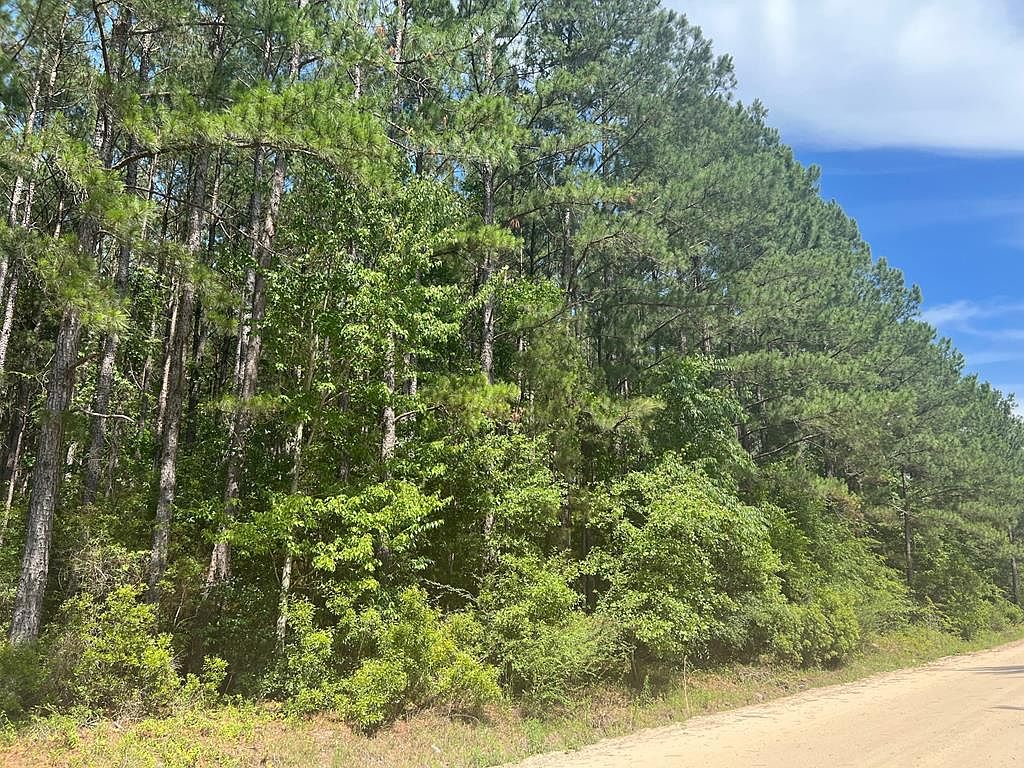 0 Shelly Rentz Rd, Hazlehurst, GA 31539 | MLS #20229 | Zillow