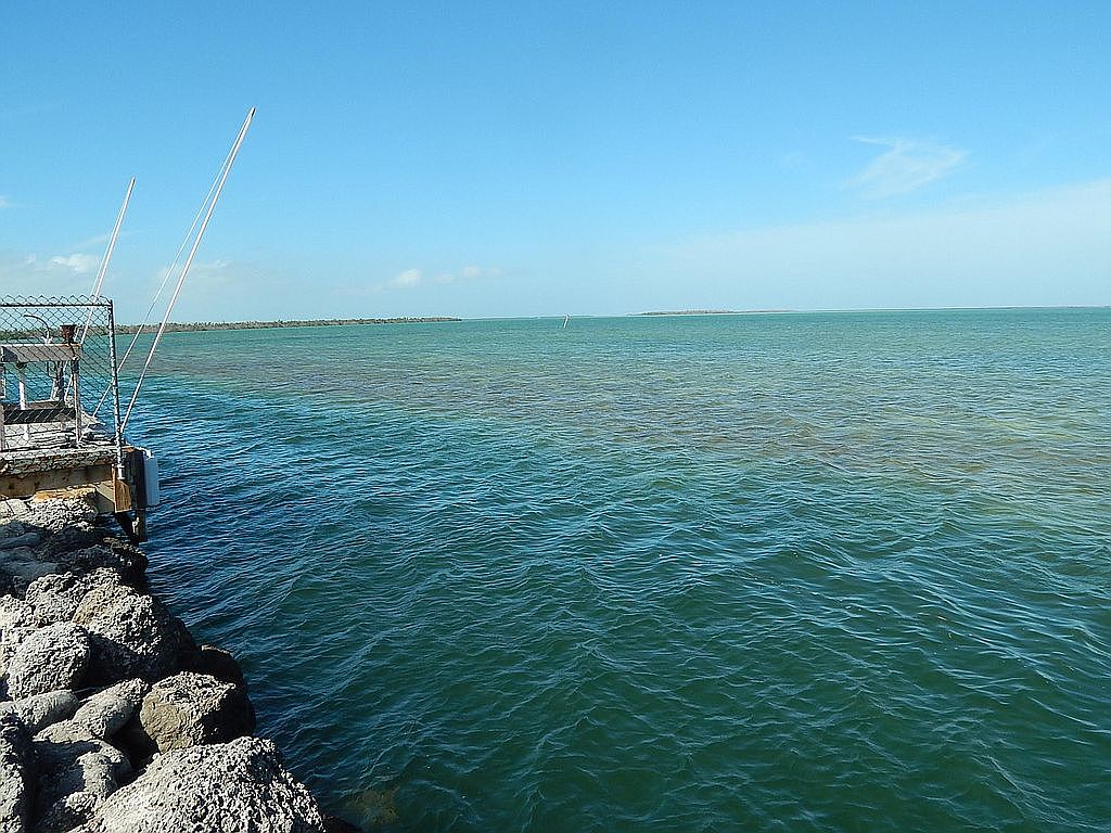 27931 Porgie Path, Little Torch Key, FL 33042 | Zillow