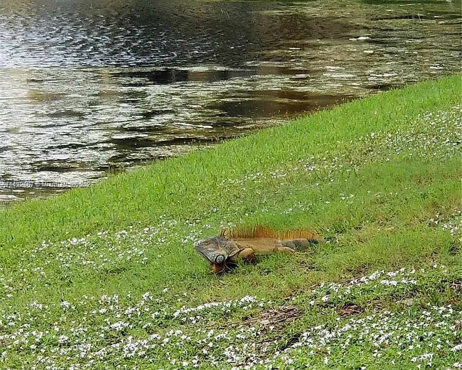 Jacaranda Heights Condominiums - Fort Lauderdale, FL | Zillow