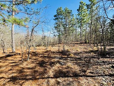 0 State Line Rd, Bennettsville, SC 29512 | Zillow