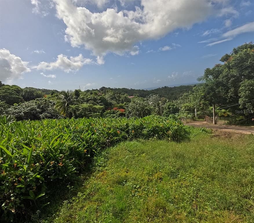 LOT E State Hwy #966, Rio Grande, PR 00745 | Zillow