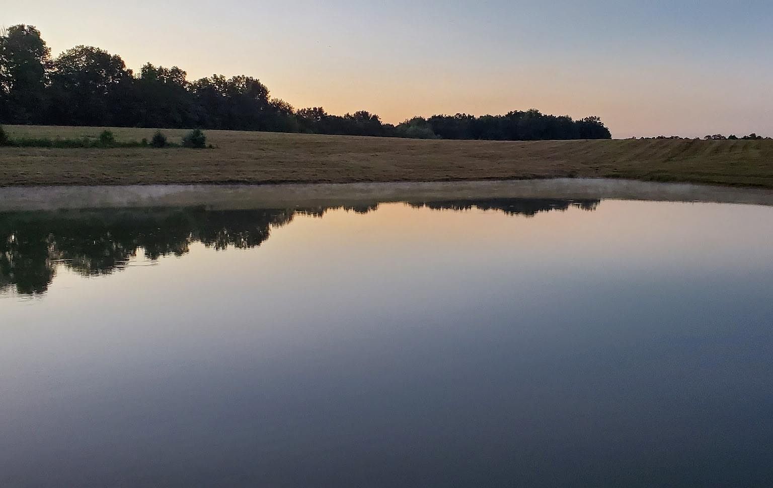 0 N Flamingo Ln, Scheller, IL 62883 | MLS #EB457457 | Zillow