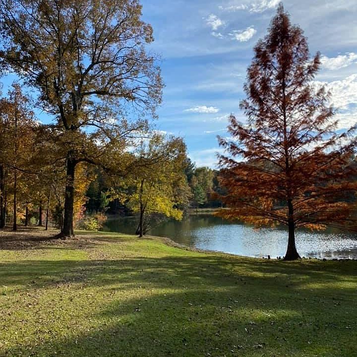 4001 Steward Loop, Randolph, MS 38864 | MLS #21-3854 | Zillow