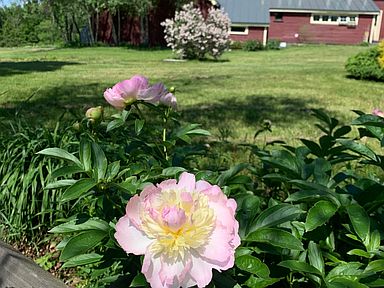 815 Whitcomb Island Rd, Johnson, VT 05656 | Zillow