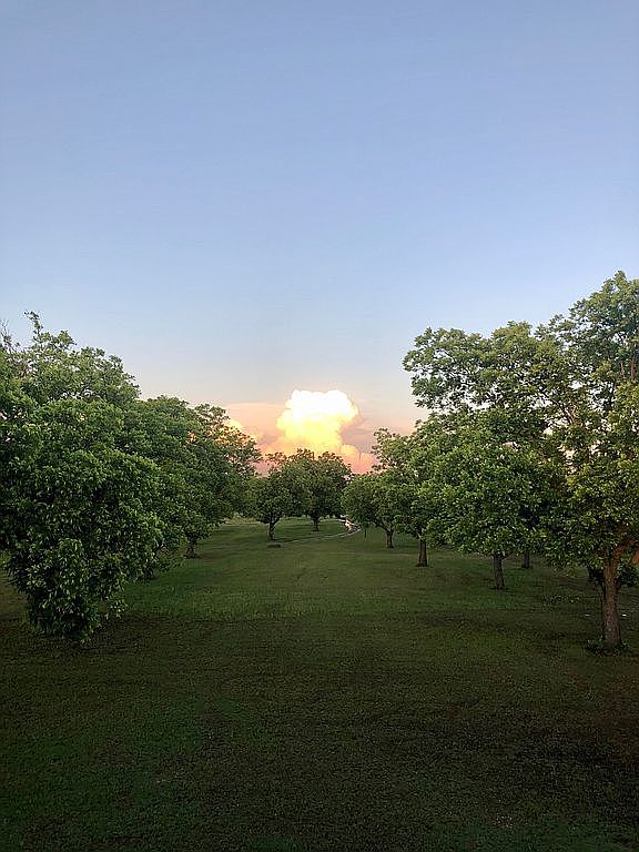 170 Caleche Rd, Mineral Wells, TX 76067 | Zillow