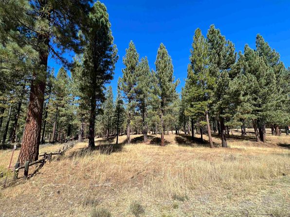 Clio CA Real Estate - Clio CA Homes For Sale | Zillow