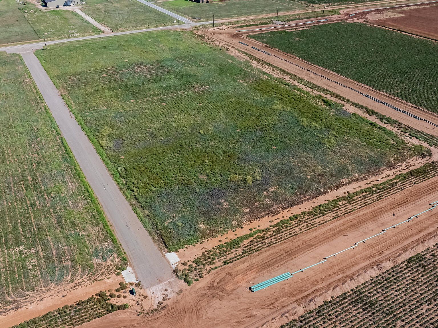 17813 County Road 1535, Wolfforth, TX 79382 | MLS #202561559 | Zillow