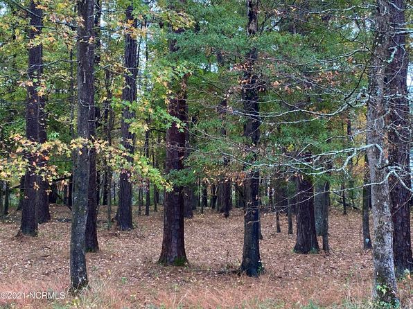 Pinetown Real Estate - Pinetown NC Homes For Sale | Zillow