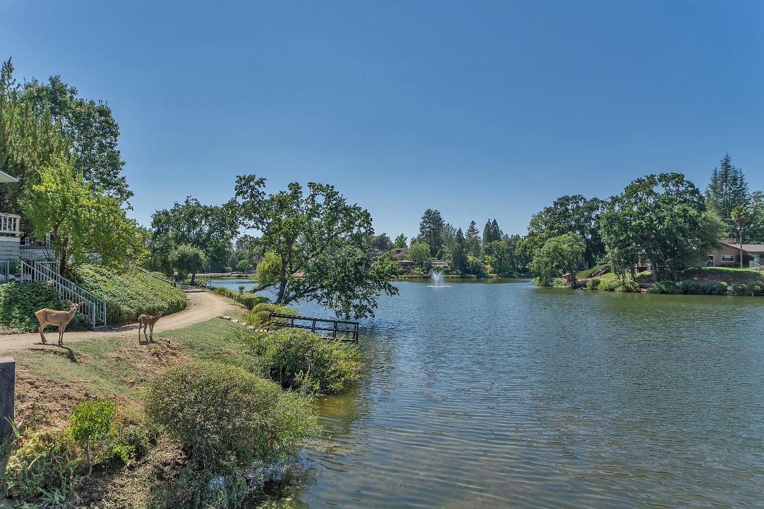 4390 Patterson Dr UNIT 228, Diamond Springs, CA 95619 | MLS #223076986 ...