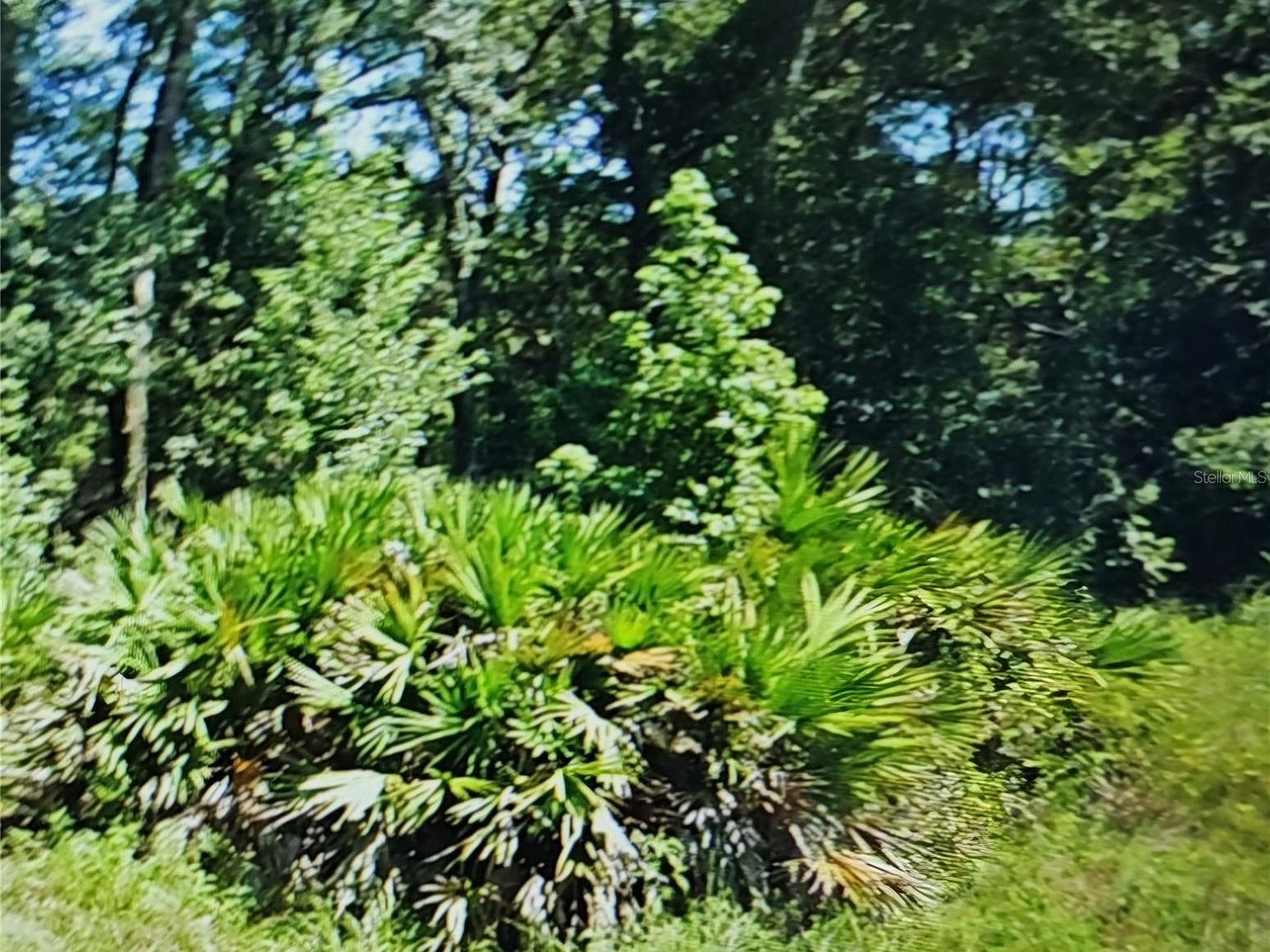 NW 10th Pl, Ocala, FL 34482 | Zillow