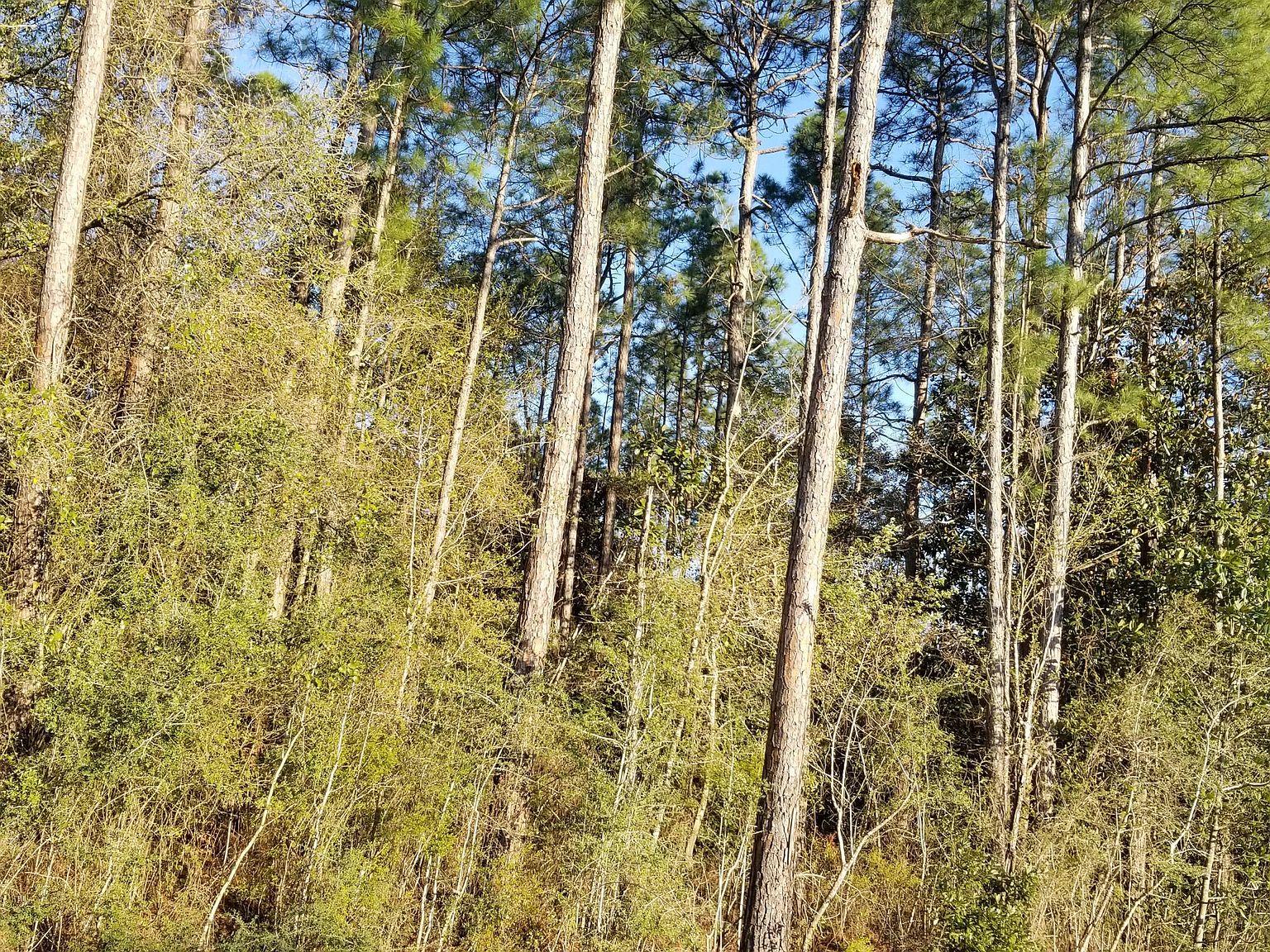 Quave Rd, Vancleave, MS 39565 | MLS #4107630 | Zillow