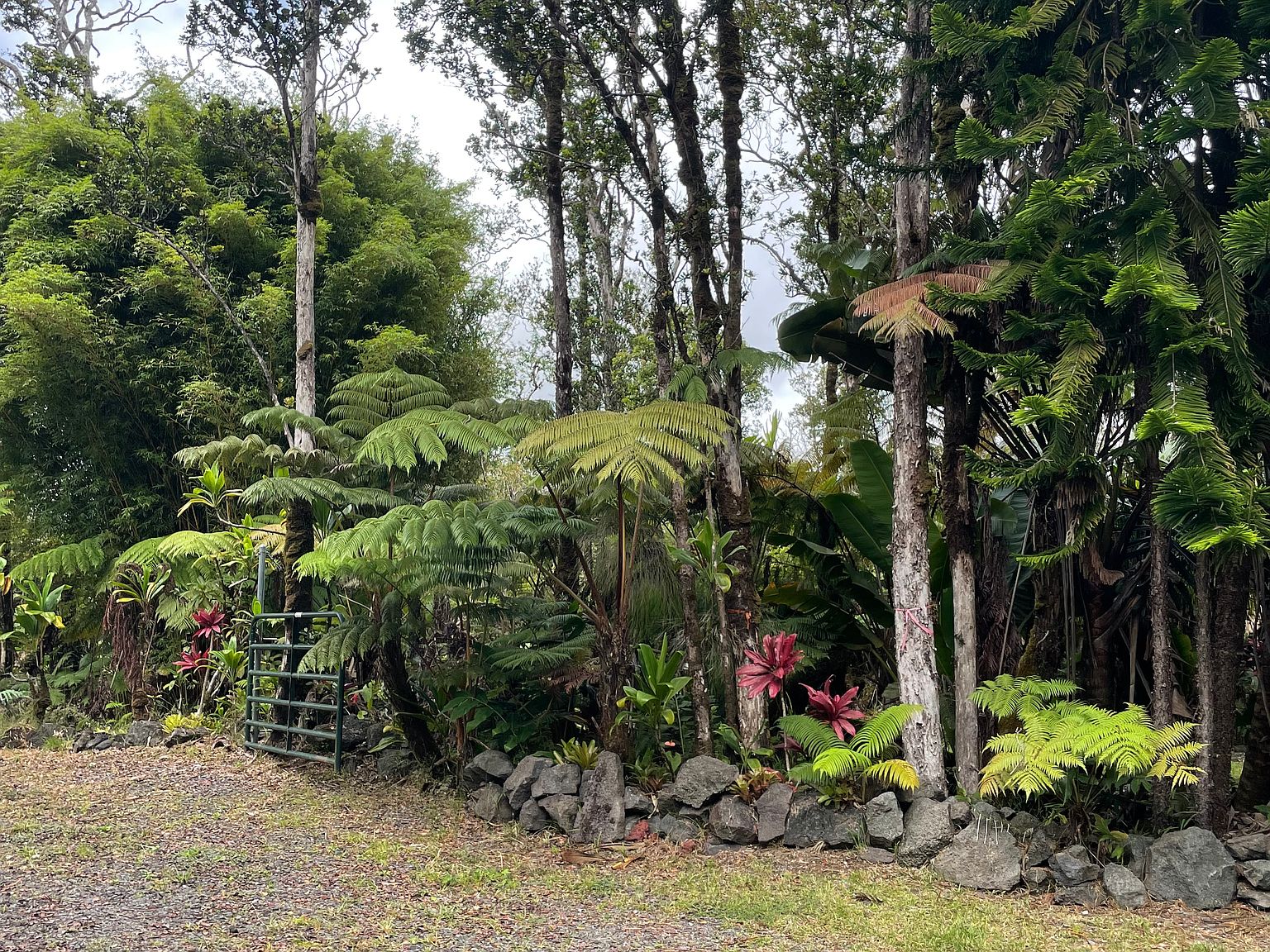 Omaomao Rd LOT 32, Volcano, HI 96785 | MLS #724815 | Zillow
