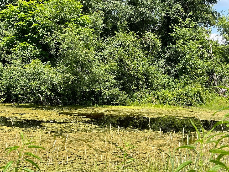 4962 Farwell Lake Rd, Horton, MI 49246 | Zillow