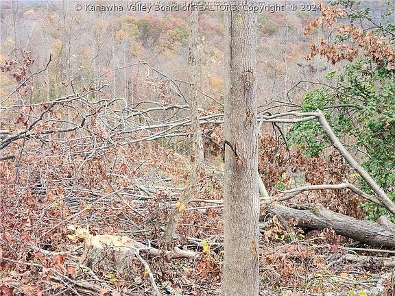 0 Beechy Rd, Lizemores, WV 25125 | MLS #272022 | Zillow