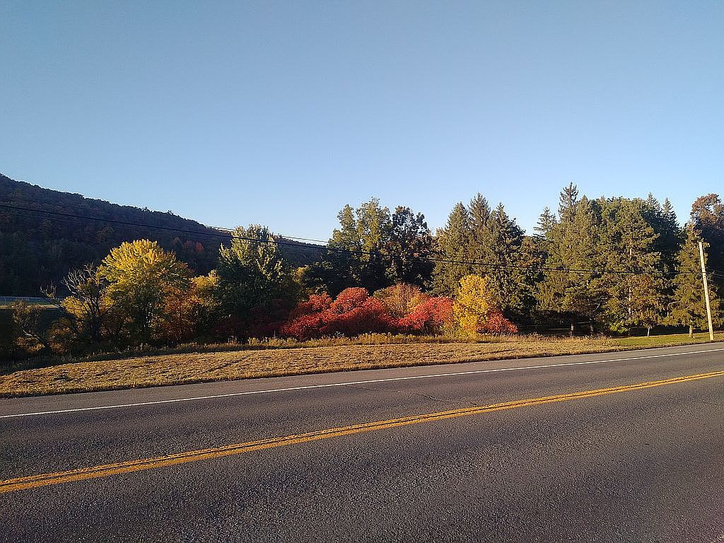 1123 State Route 7, Richmondville, NY 12149 | Zillow