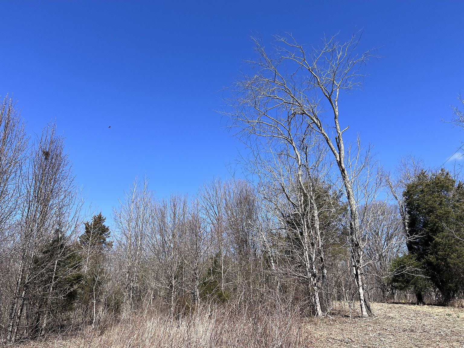 6732 Clarksville Pike, Joelton, TN 37080 | MLS #2800843 | Zillow