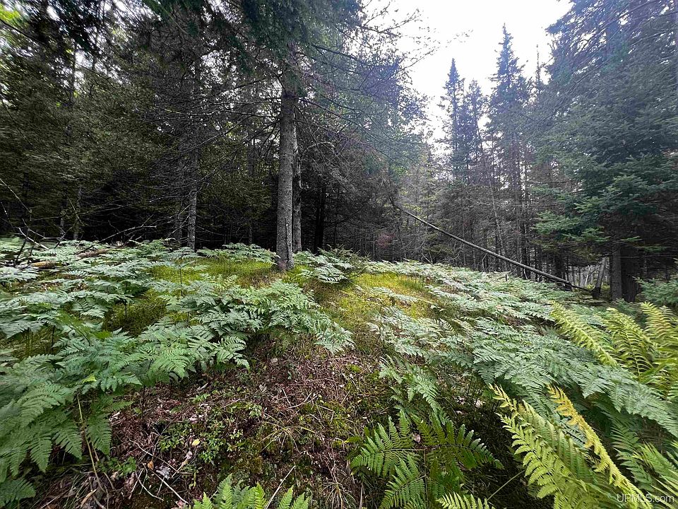 LOT 1 Kalla Walla Trl, Crystal Falls, MI 49920 | MLS #50122660 | Zillow