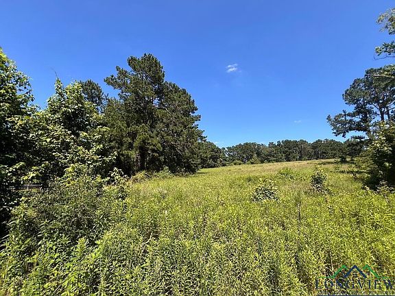 887 County Road 1265, Center, TX 75935 | MLS #20243565 | Zillow