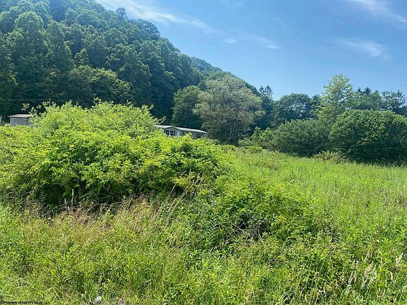 Grass Lick Run, Montrose, WV 26283 | MLS #10154860 | Zillow