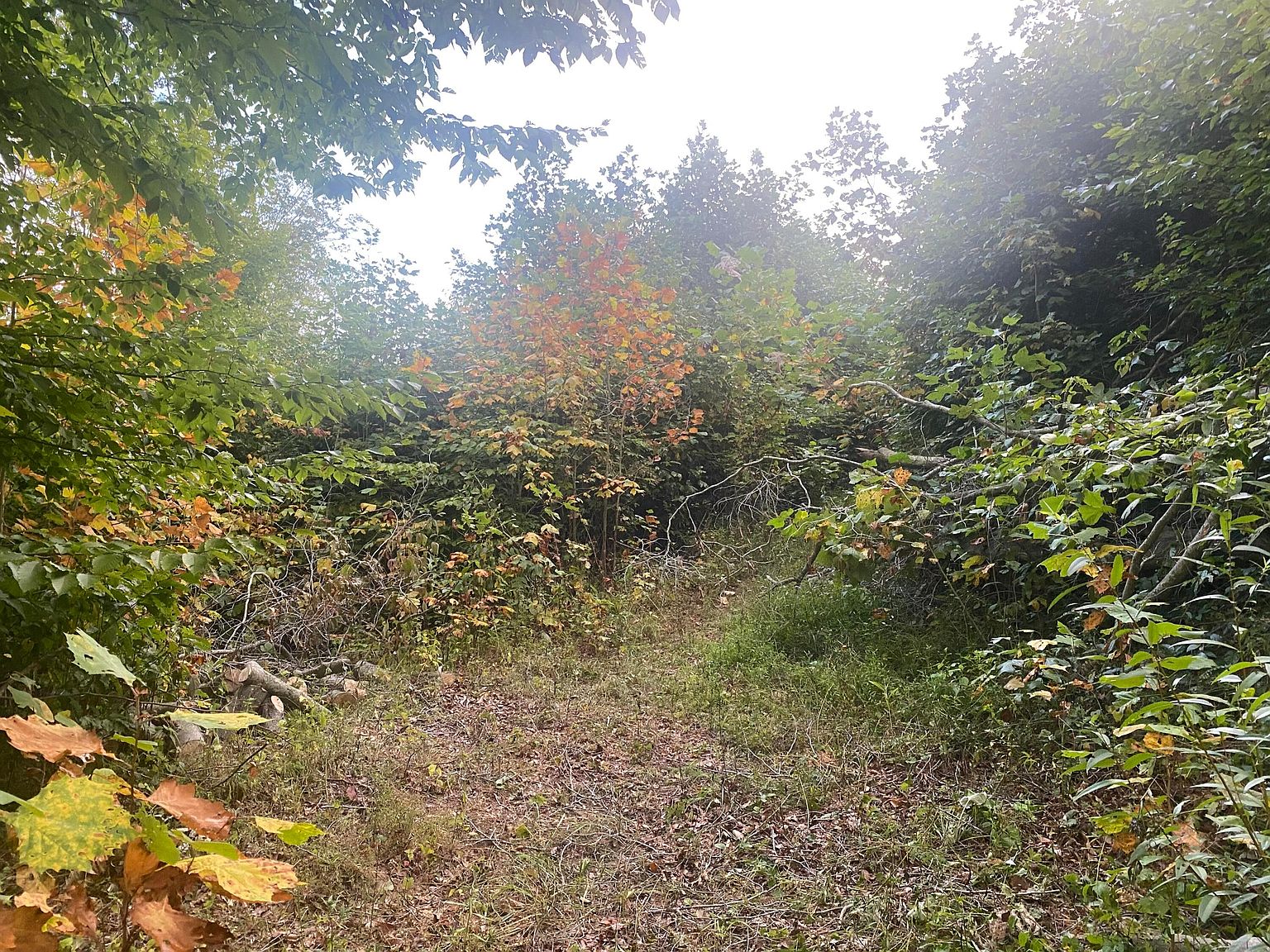 29361 Locust Grove Rd, Mc Arthur, OH 45651 | Zillow