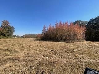 0 N County Road 605, Poplar Bluff, MO 63901 | MLS #24069190 | Zillow