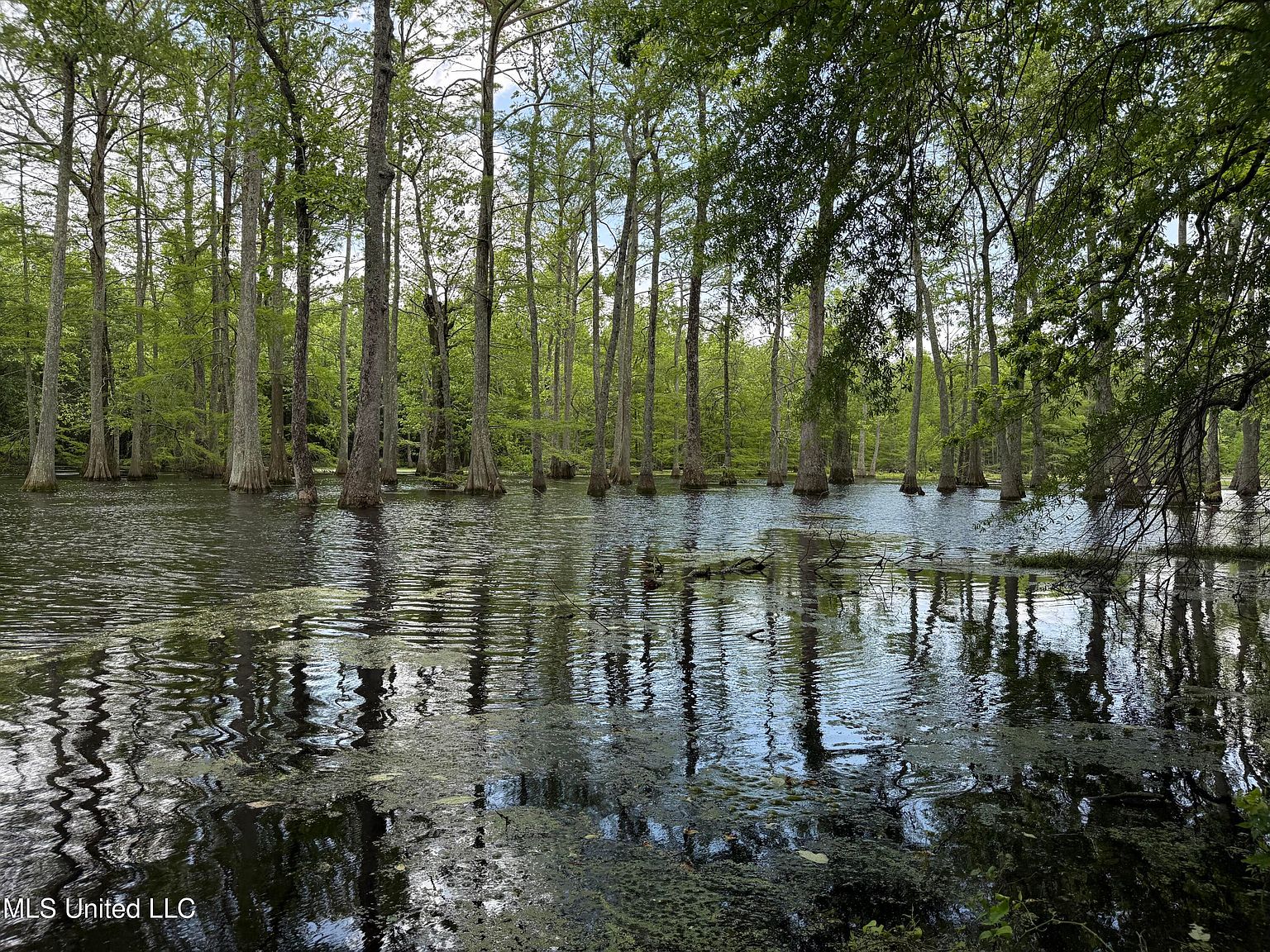 County Road 550, Minter City, MS 38944 | MLS #4112572 | Zillow