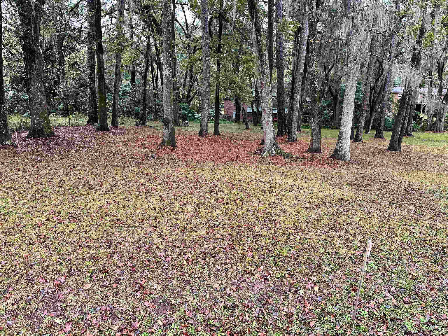 Rosedale Dr, Tallahassee, FL 32303 | Zillow