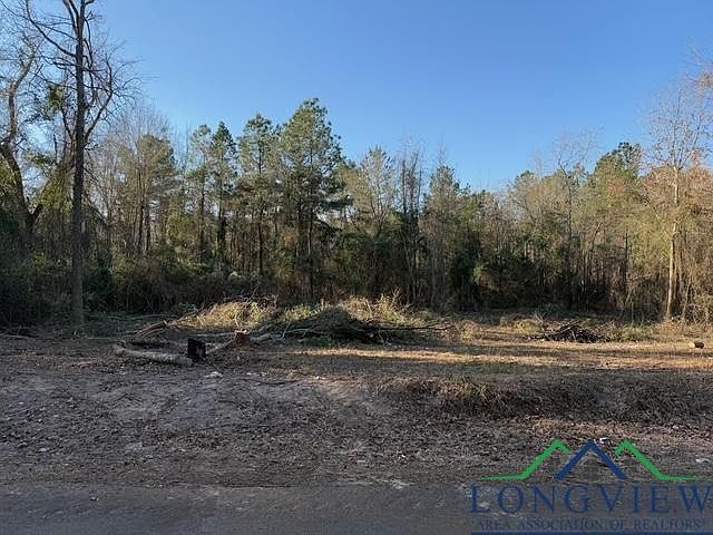 0 County Road 4172d, Laneville, TX 75667 | MLS #20250174 | Zillow