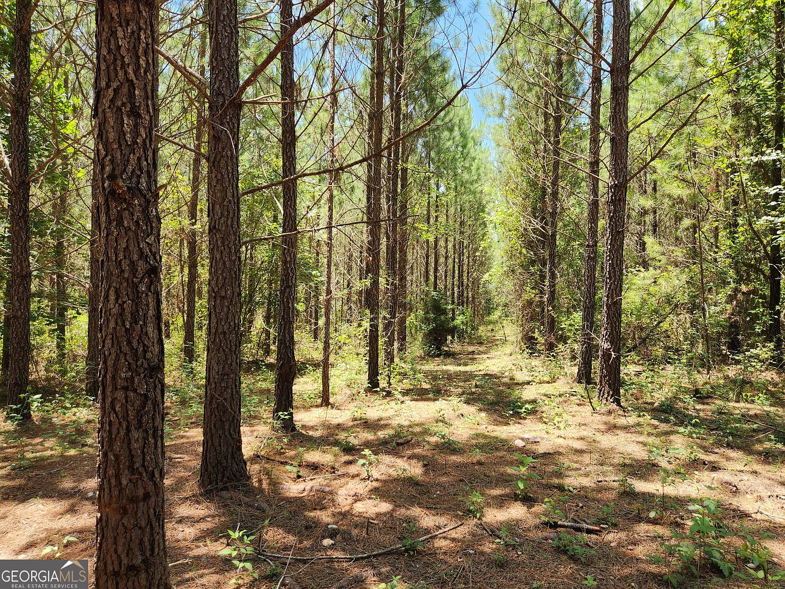 0 Cook Rd LOT 17, Monticello, GA 31064 | MLS #10224075 | Zillow