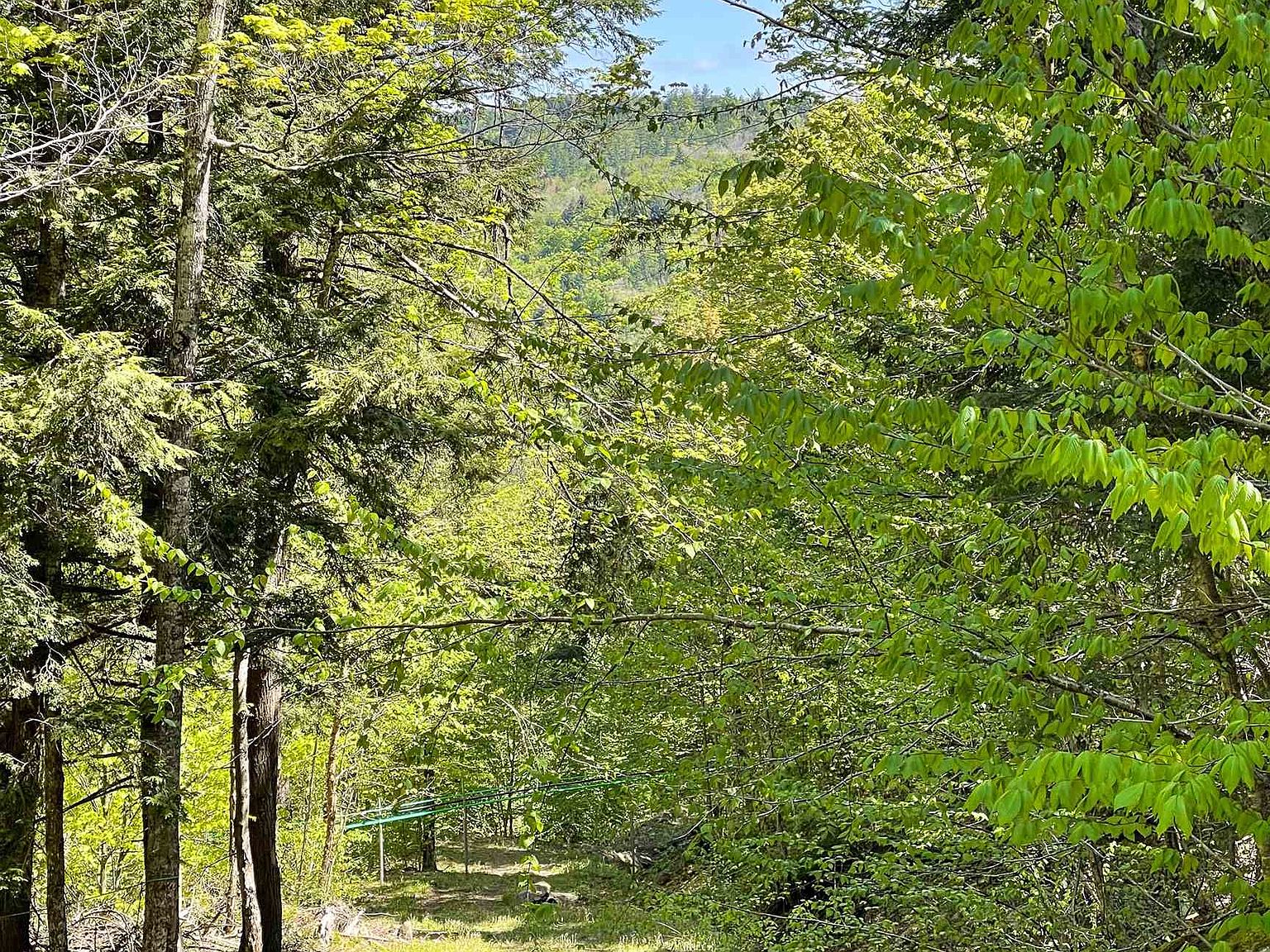 Old Route 12, Barnard, VT 05031 | MLS #4988381 | Zillow