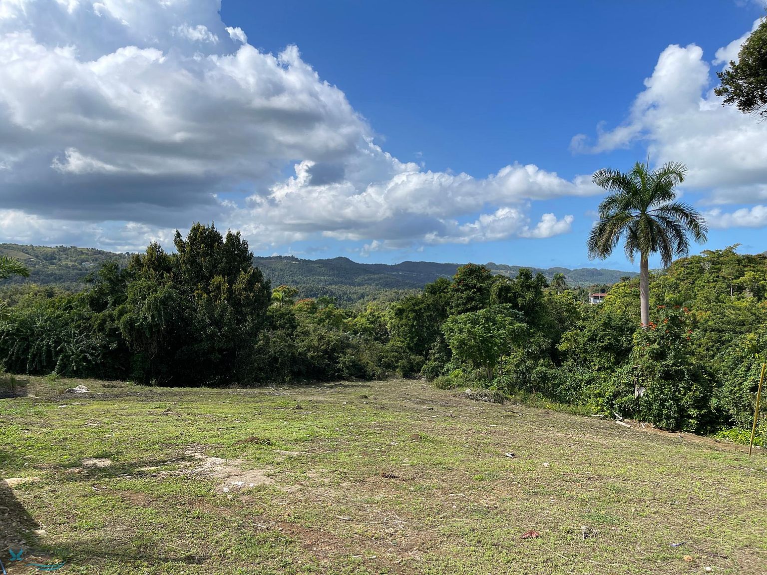 Km 11.8 Prairie Lote #149-3, Ciales, PR 00638 | MLS #55442 | Zillow