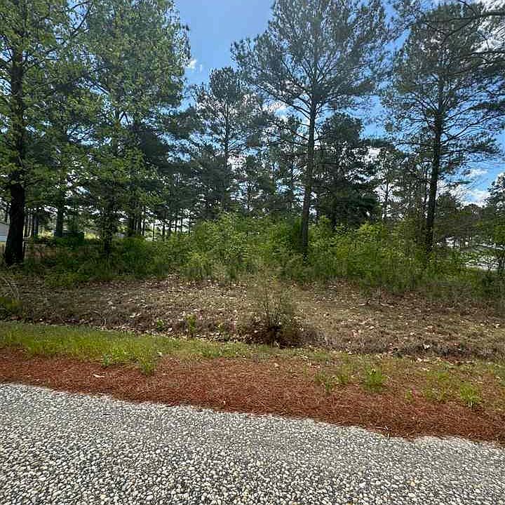 226 Meggs Island Rd, Latta, SC 29565 | MLS #20241416 | Zillow