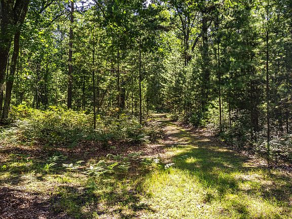 0 N Us Bus Rte #31, Pentwater, MI 49449 | MLS #25042200 | Zillow