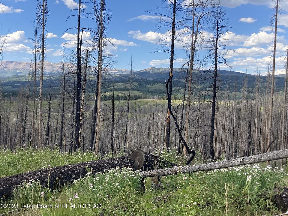 Tba Forest Dr, Bondurant, WY 82922 | MLS #23-1743 | Zillow