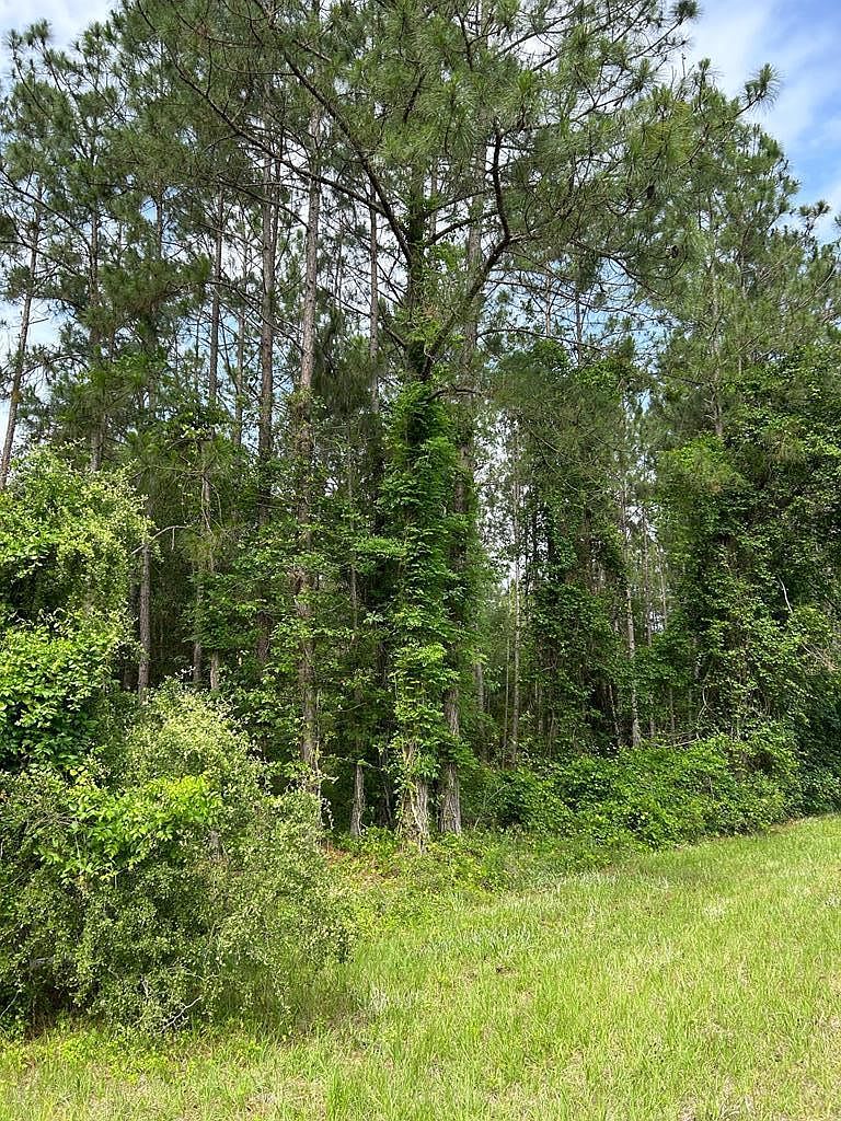 Mp 8 25 Us Hwy #280, Pitts, GA 31072 | Zillow