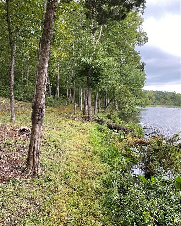 0 Trices Lake Rd, Columbia, VA 23038 | Zillow