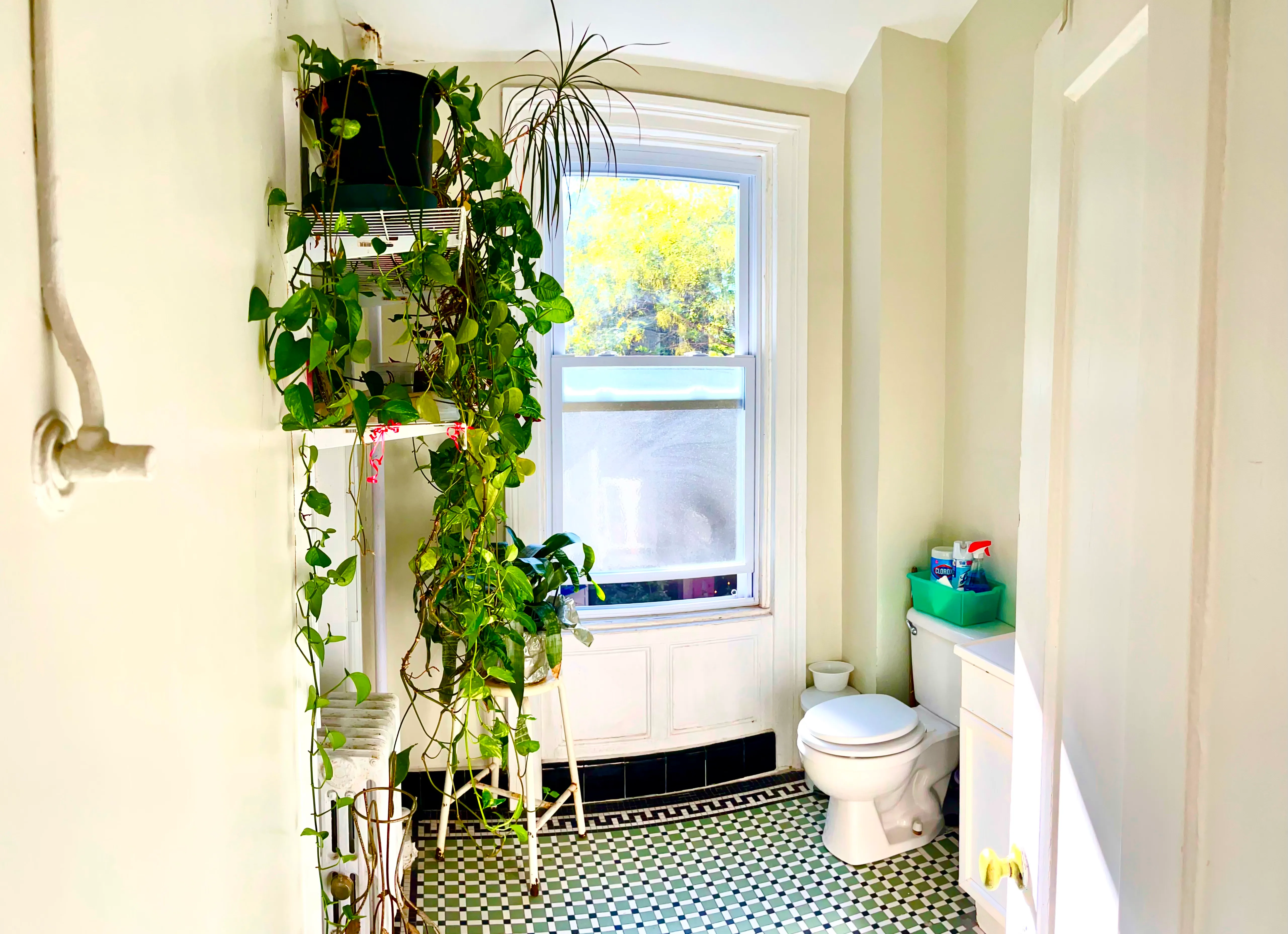 490 State Street #3 in Boerum Hill, Brooklyn | StreetEasy