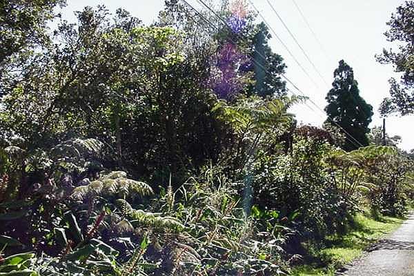 Kalani Honua Rd #0, Volcano, HI 96785 | Zillow