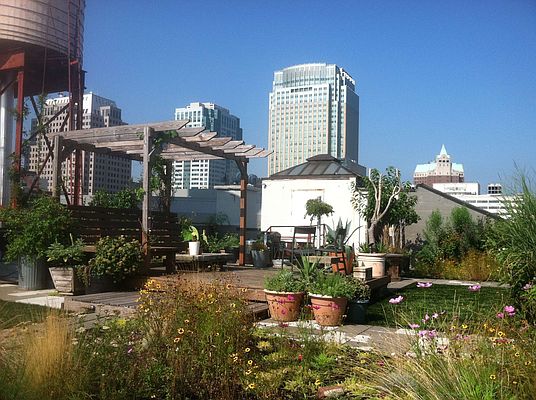 170 Tillary Street #207 in Downtown Brooklyn, Brooklyn | StreetEasy