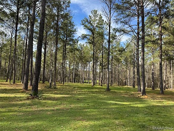 76 County Road 9, Fitzpatrick, AL 36029 | Zillow