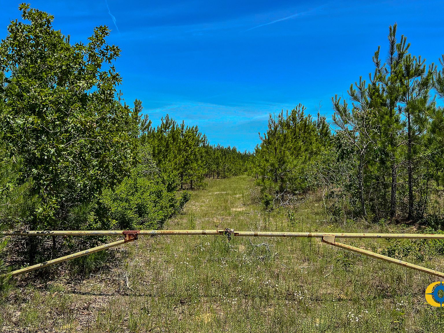 0 S Mount Sinai Church Rd, Butler, GA 31006 | MLS #10319249 | Zillow