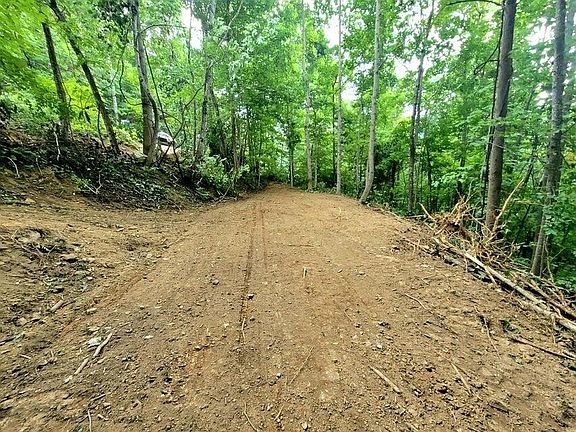 Lots 8a 8b Dunlukin Dr, Spring City, TN 37381 | MLS #20244510 | Zillow