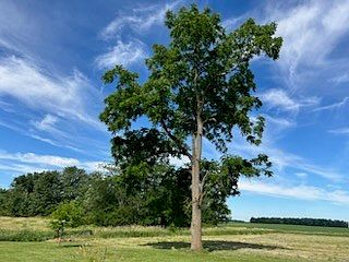 6580 Sandusky Ave, Chatfield, OH 44825 | MLS #9061574 | Zillow