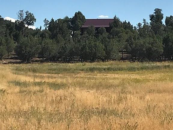 940 County Road 973, Arboles, CO 81121 | MLS #811493 | Zillow