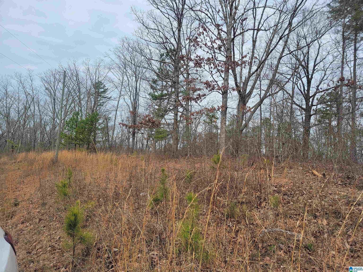 LOT 7 & County Rd #8-116, Heflin, AL 36264 | MLS #21377621 | Zillow