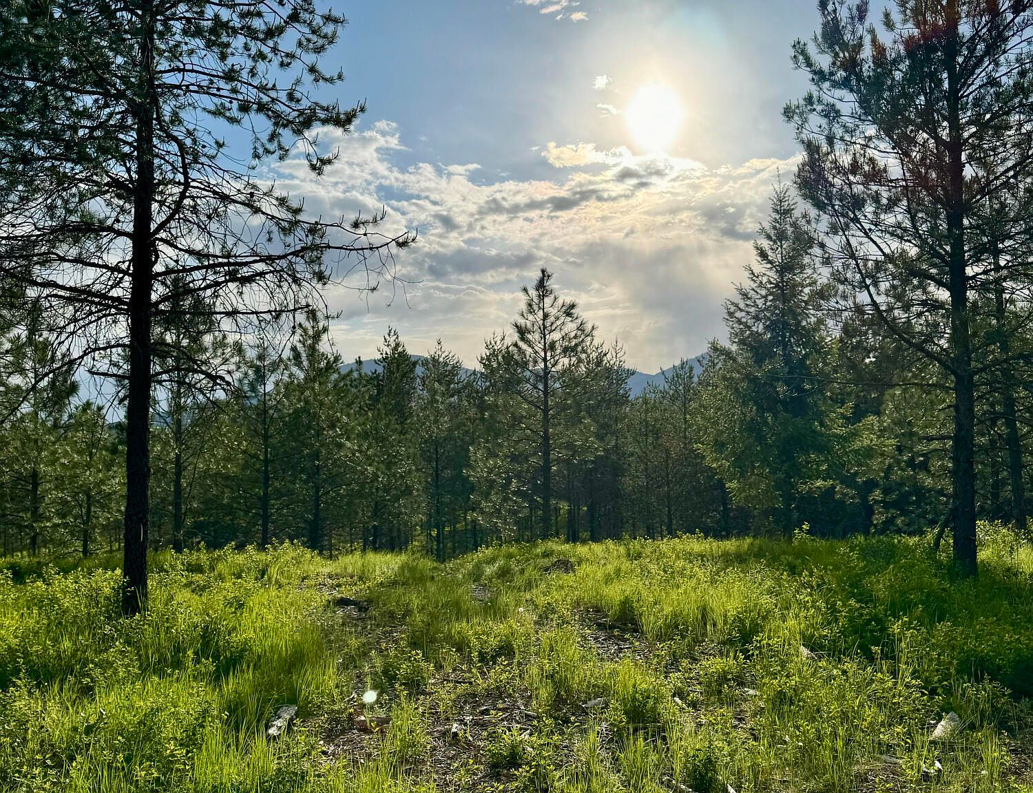 Nka Block LOT 3-1, Rathdrum, ID 83858 | Zillow